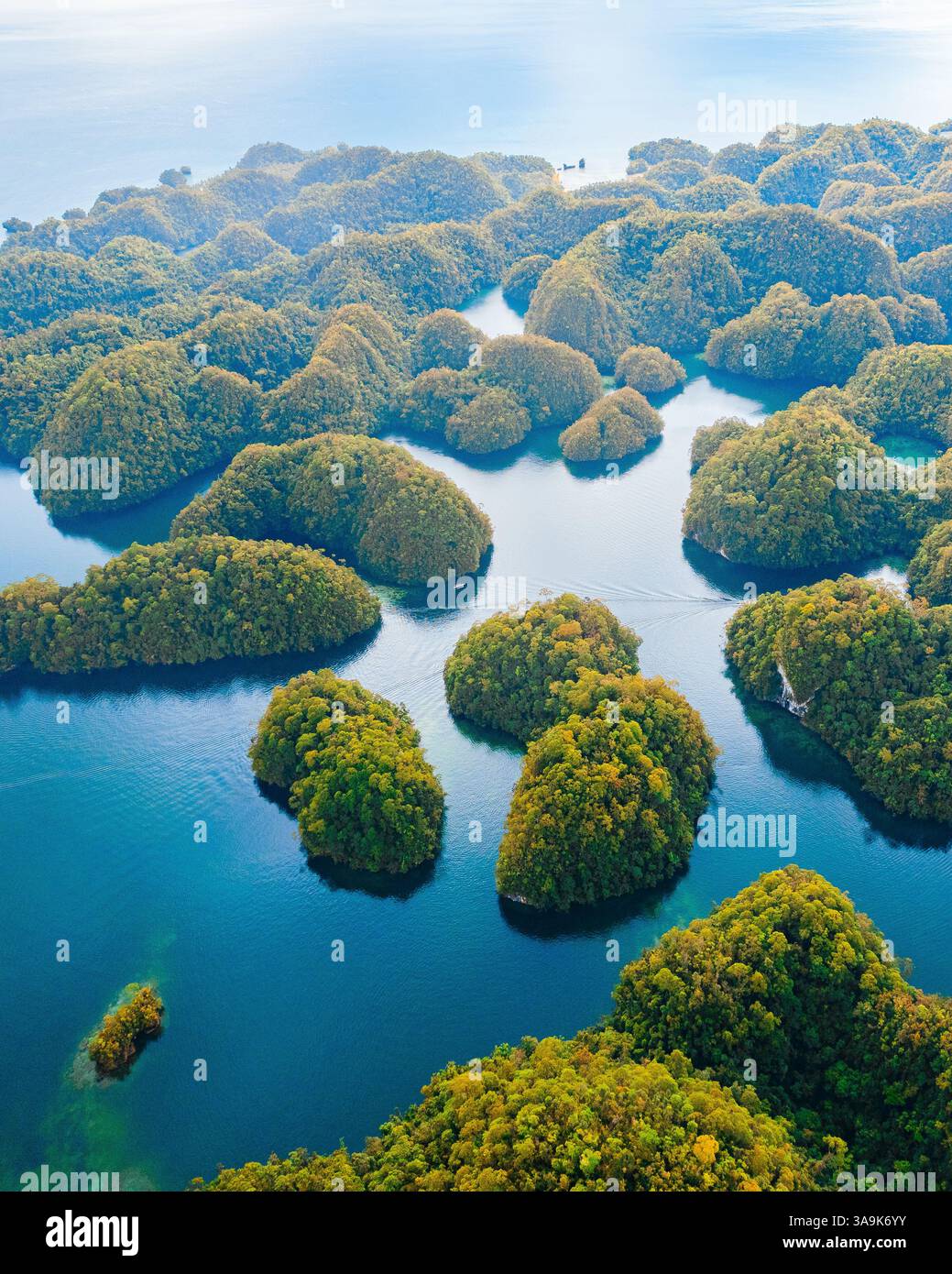 Breathtaking Aerial View of Sohoton Cove – A Hidden Paradise of Lush ...