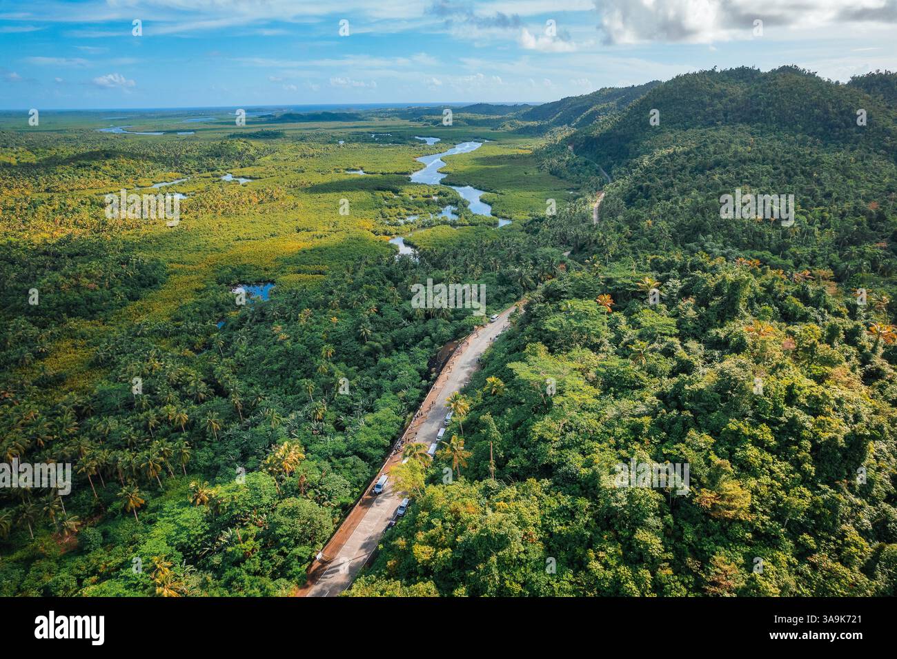 Endless Coconut Plantation of Siargao – A Stunning Sea of Towering Palm ...