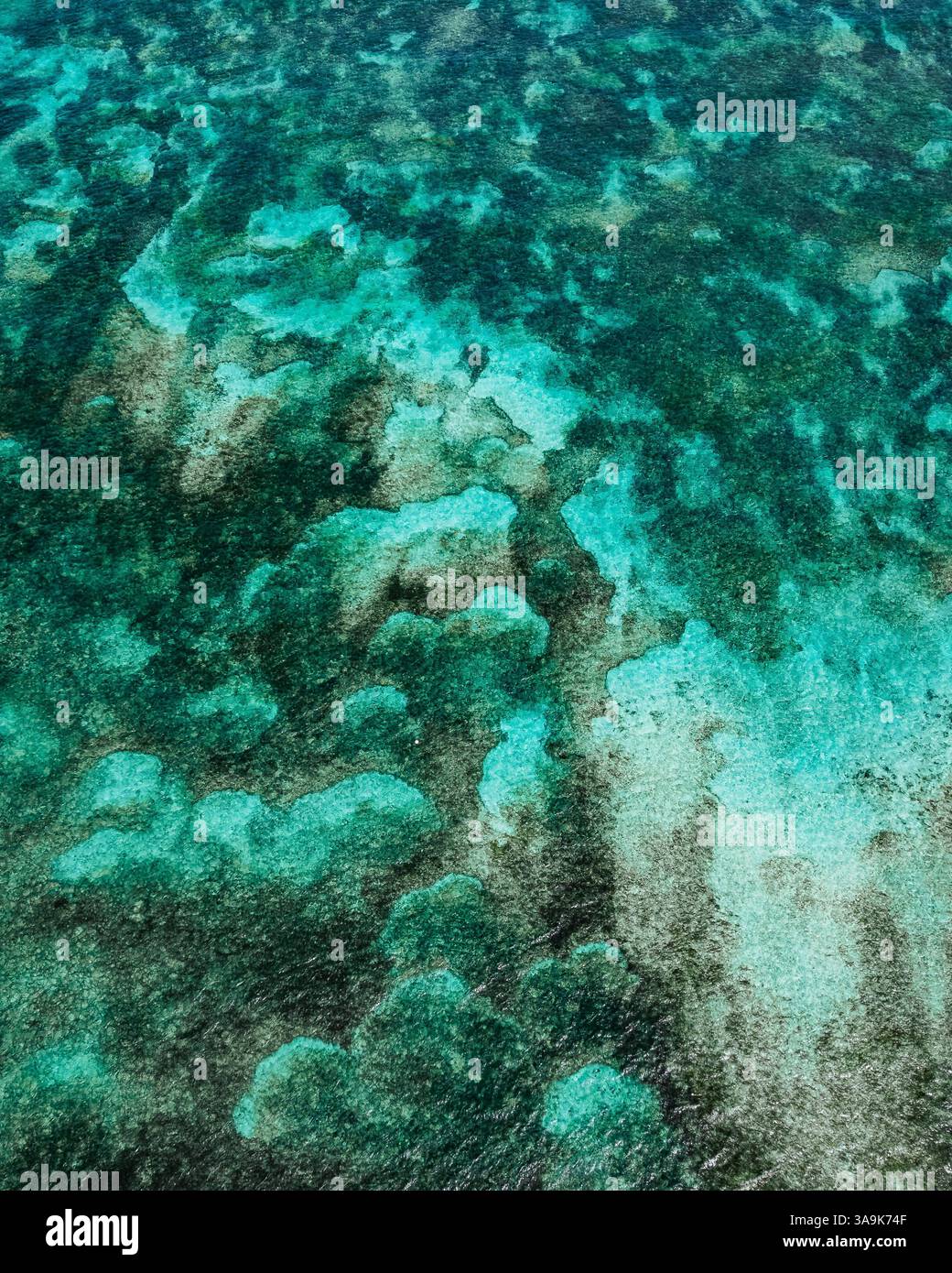 Abstract liquid fluid art hi-res stock photography and images - Alamy