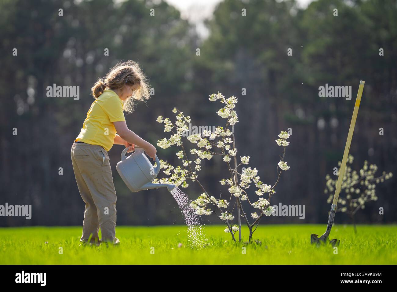 Child working in garden. Growth tree and care plant in garden ...