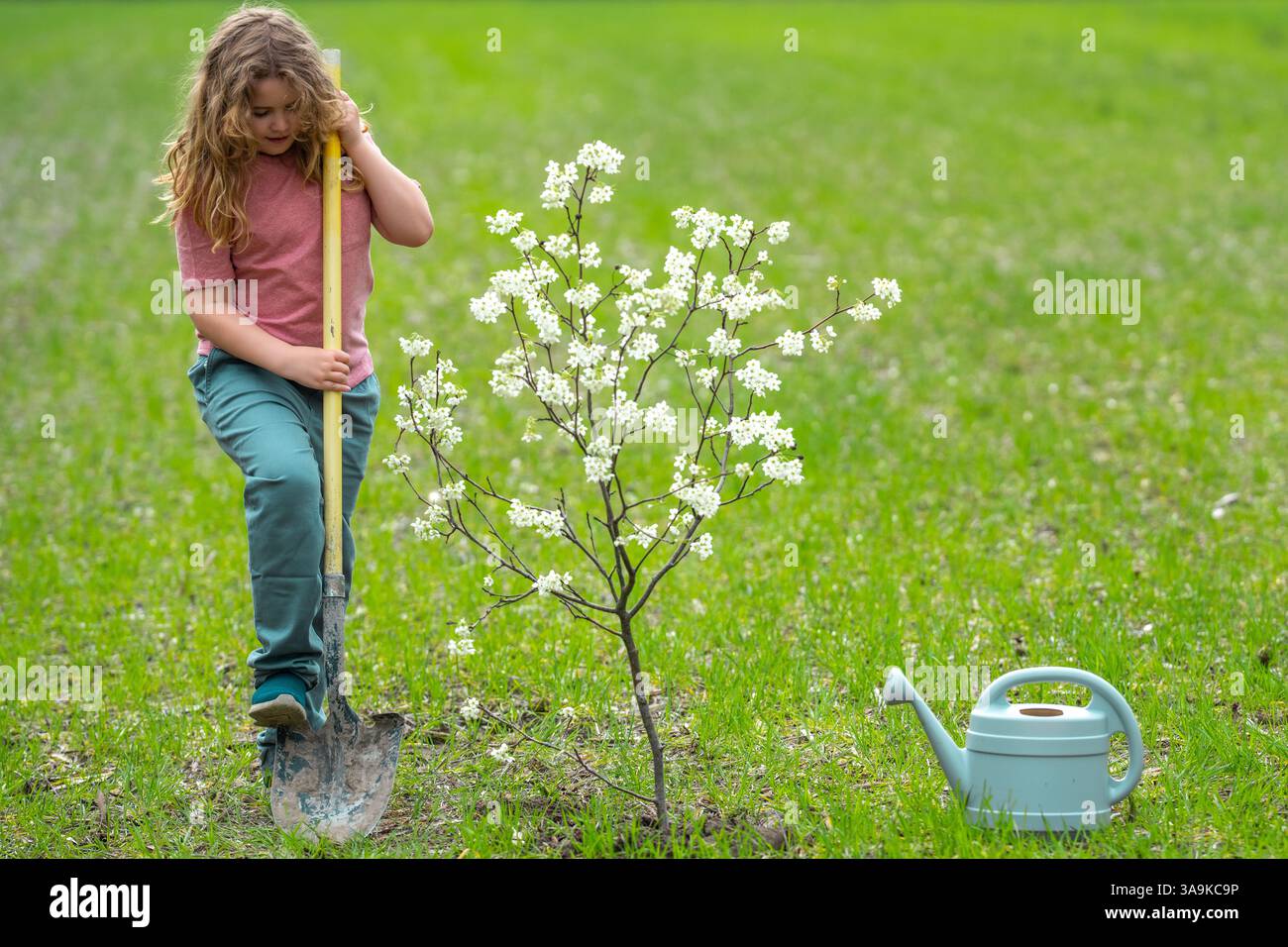 Child planting tree outdoors. Spring activity of plant trees. Kid work ...