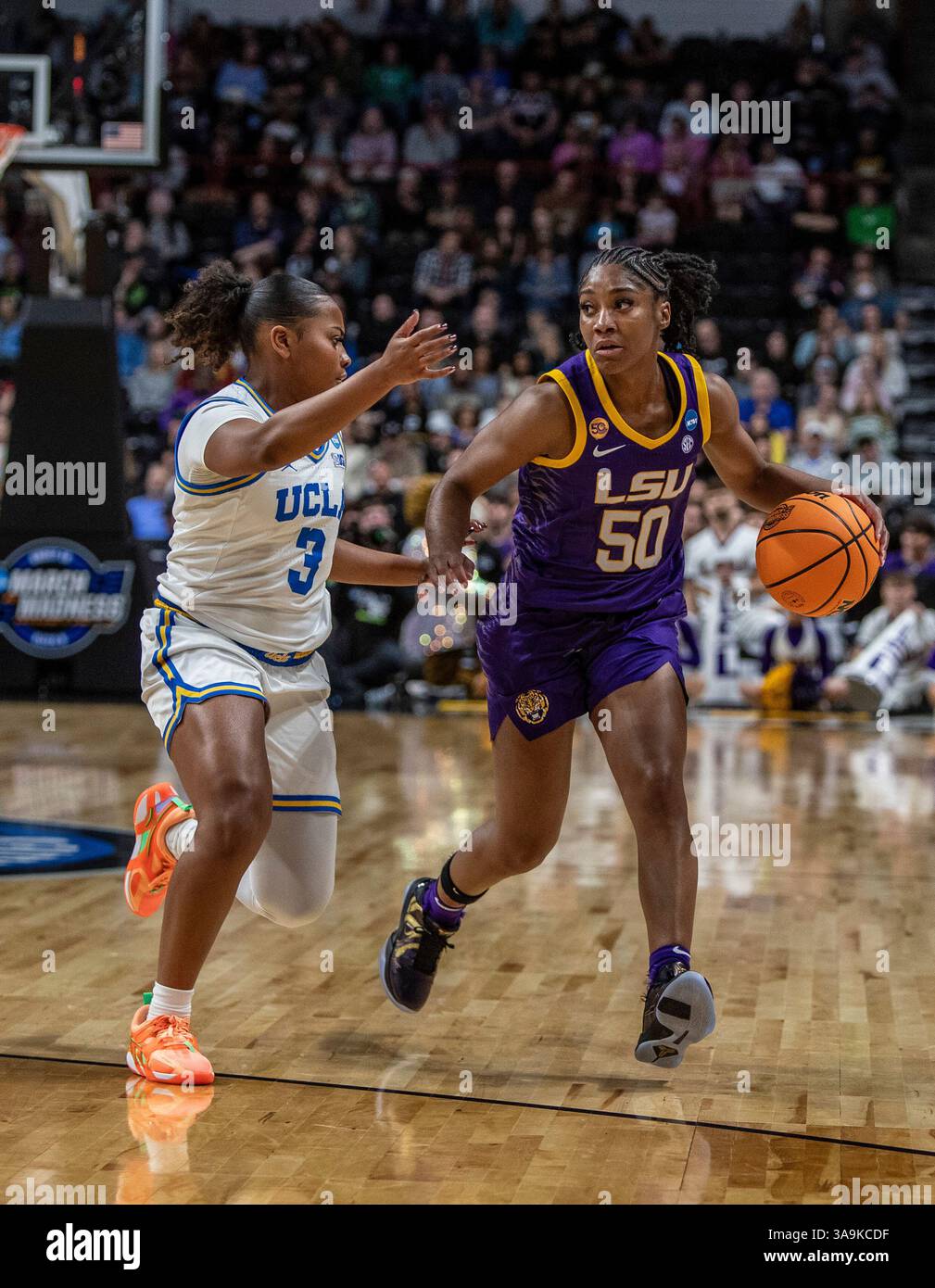 2025 0051 jpg hi-res stock photography and images - Alamy