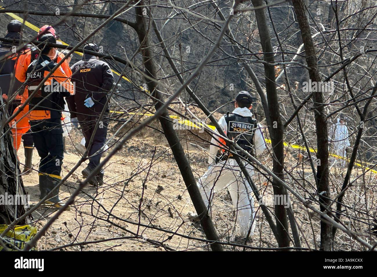 Members of firefighters, the National Forensic Service and the Korea ...