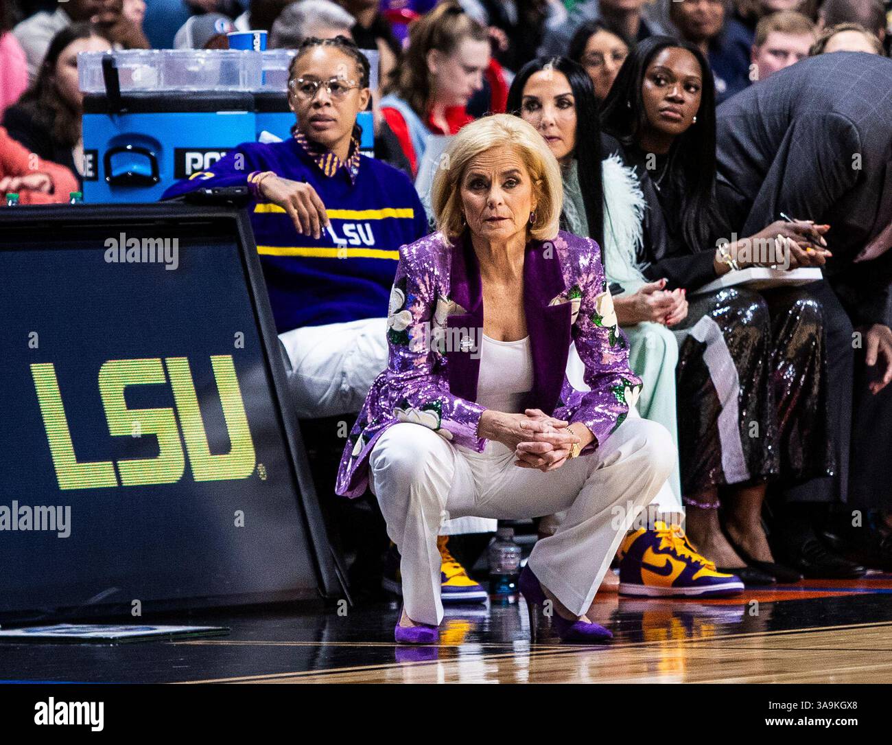 2025 0350 jpg hi-res stock photography and images - Alamy