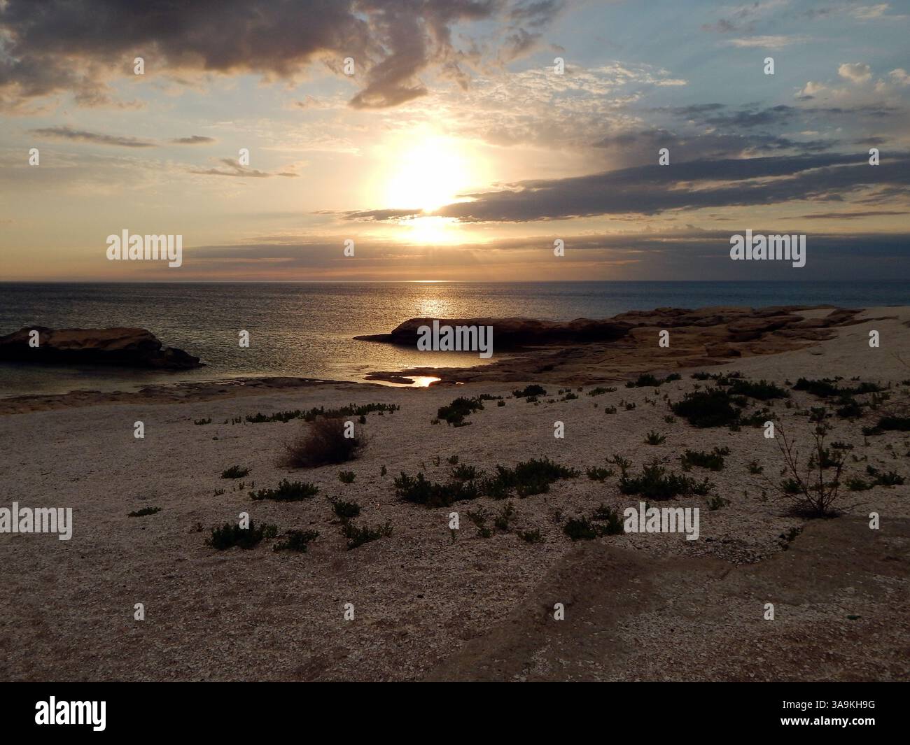 Shell coast of the Caspian Sea. Kazakhstan. Mangistau region. 10 June ...
