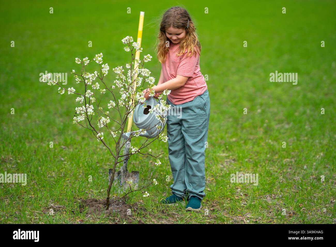 Child planting tree outdoors. Spring activity of plant trees. Kid work ...