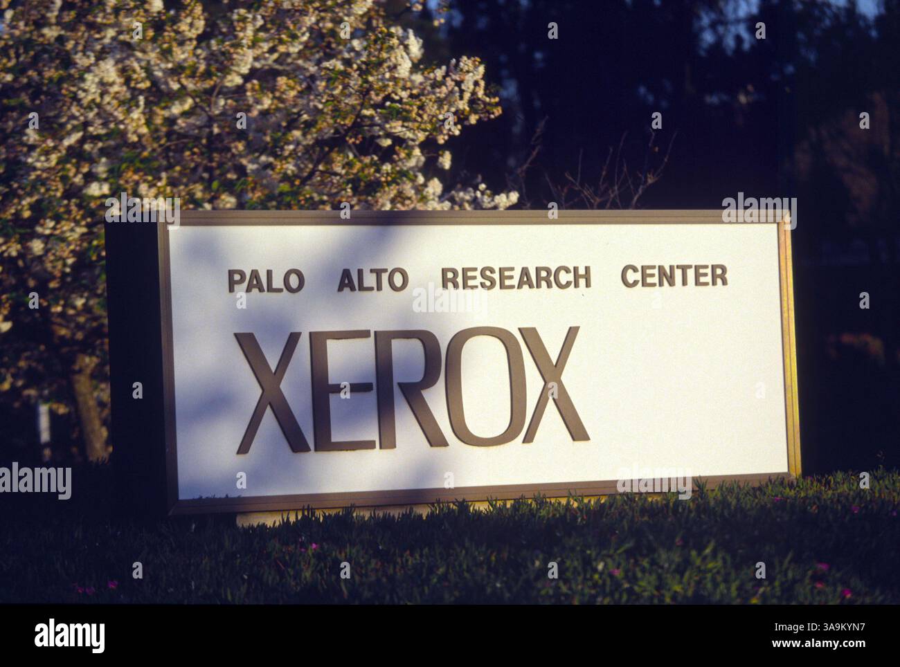 Dec 14, 1995; Palo Alto, CA, USA; Xerox's Palo Alto research center ...