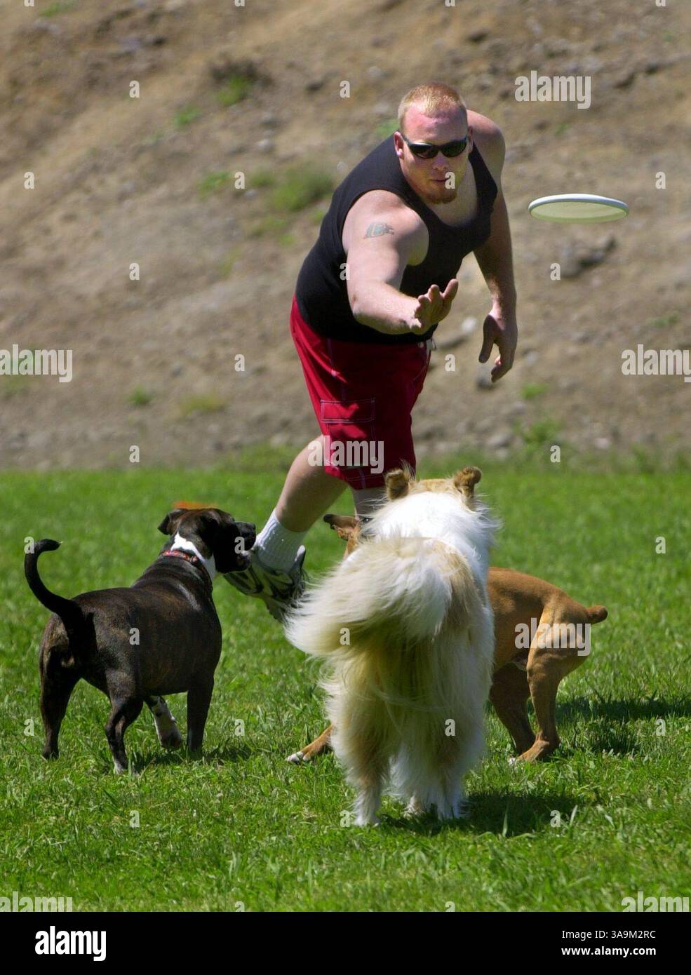 SECONDARY-- Lee Gundy (cq) of Foothill Farms throws a flying disc ...
