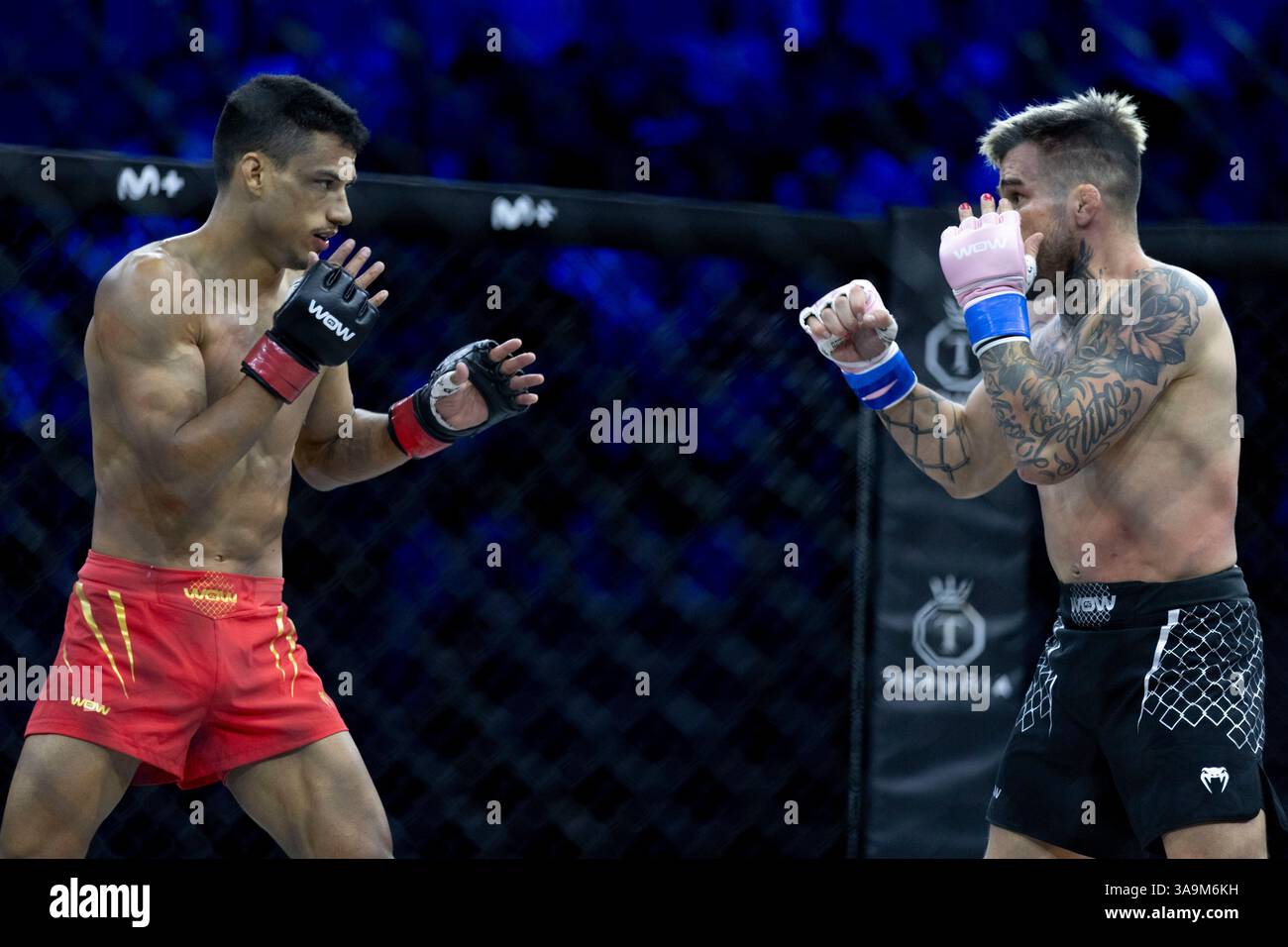 Gustavo Gabriel (Red) fight and Doble A Leal (black) during of WOW 17 ...