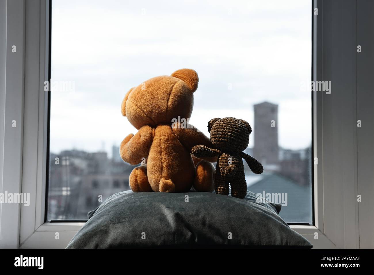 Two cute teddy bears near window indoors, back view Stock Photo - Alamy