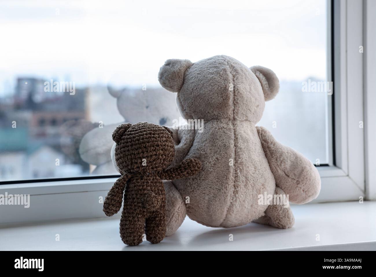 Two cute teddy bears near window indoors, back view Stock Photo - Alamy