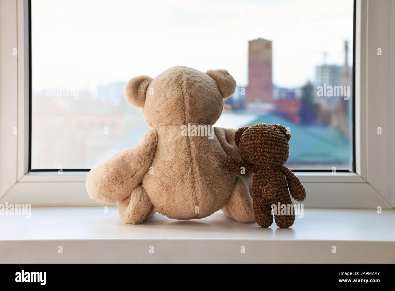 Two cute teddy bears near window indoors, back view Stock Photo - Alamy