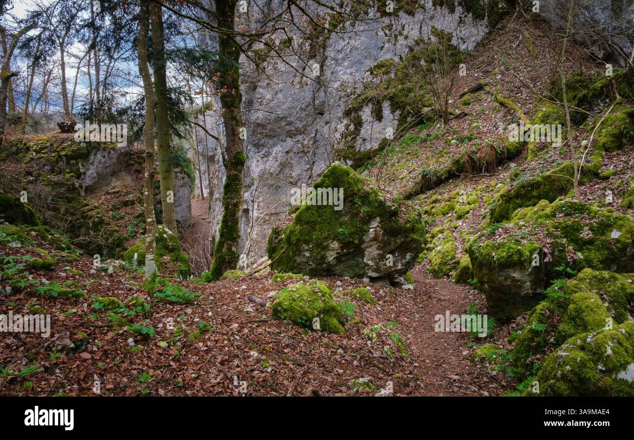 hiking path trough rocky cliffs in the Jura mountains' forest with ...