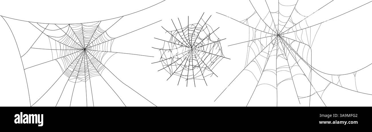 Spooky halloween old cobweb with various sizes and shapes. Old spider ...
