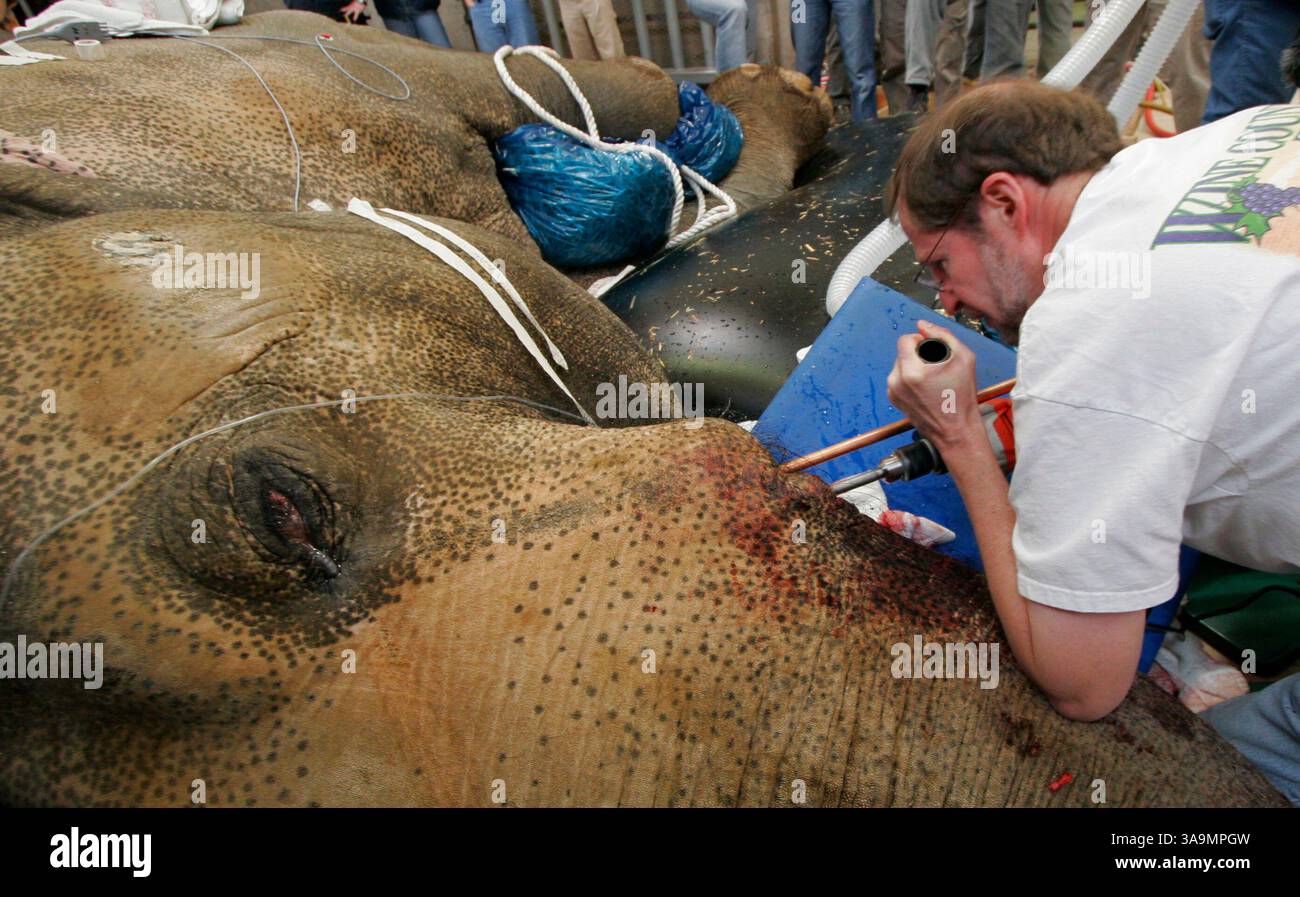 Apr 01, 2007 - Portland, Oregon - Dr. MITCH FINNEGAN, Oregon Zoo lead ...