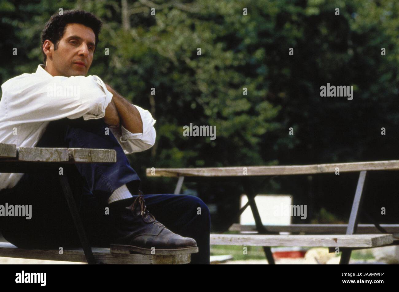 Jul 25, 1997; Knoxville, TN, USA; Actor JOHN TURTURRO stars as Al ...