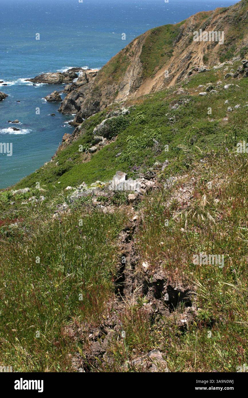 Jun 13, 2006; Point Reyes, CA, USA; Earth splits on the coast of Point ...