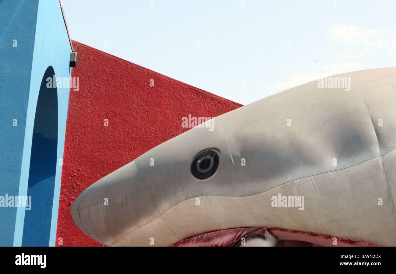 Jul 08, 2006; Ensenada, Baja, MEXICO; An inflatable shark in Ensenada ...