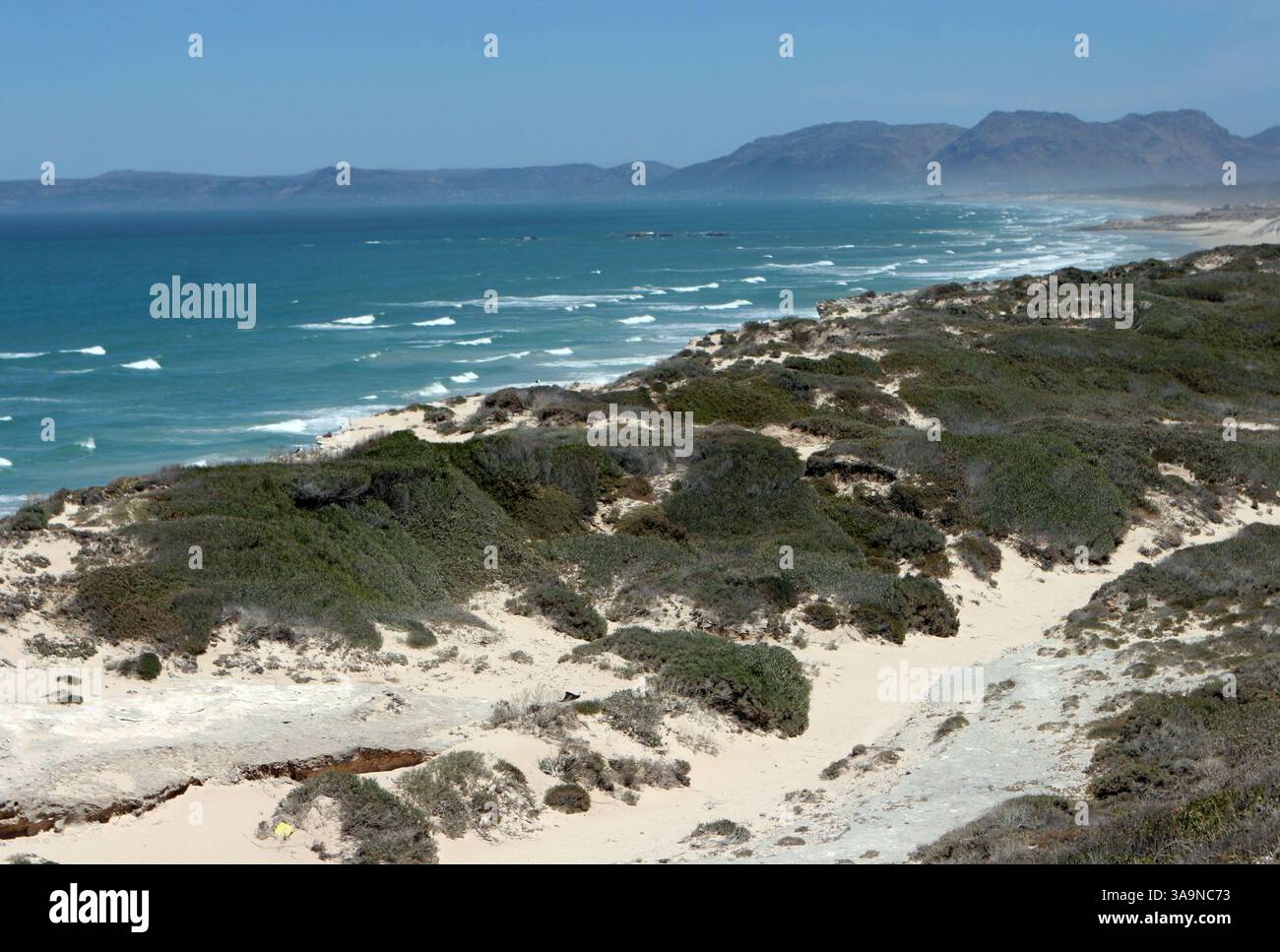 Jul 18, 2006; Capetown, SOUTH AFRICA; (File Photo: January 2006) A ...