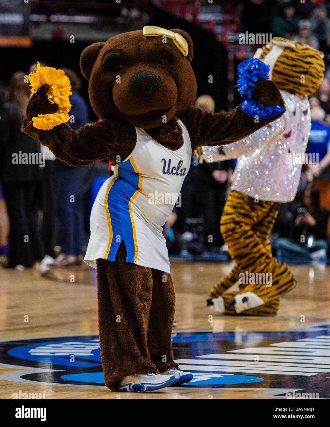 2025 0773 jpg hi-res stock photography and images - Alamy