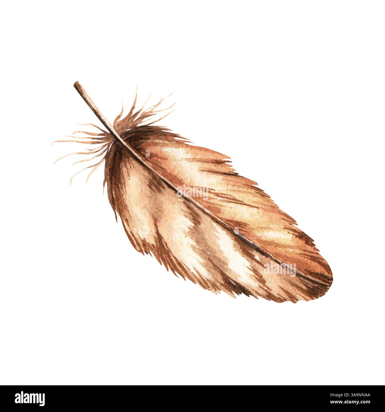 Brown bird feather, plume, quill. Easter decoration. Hand drawn ...