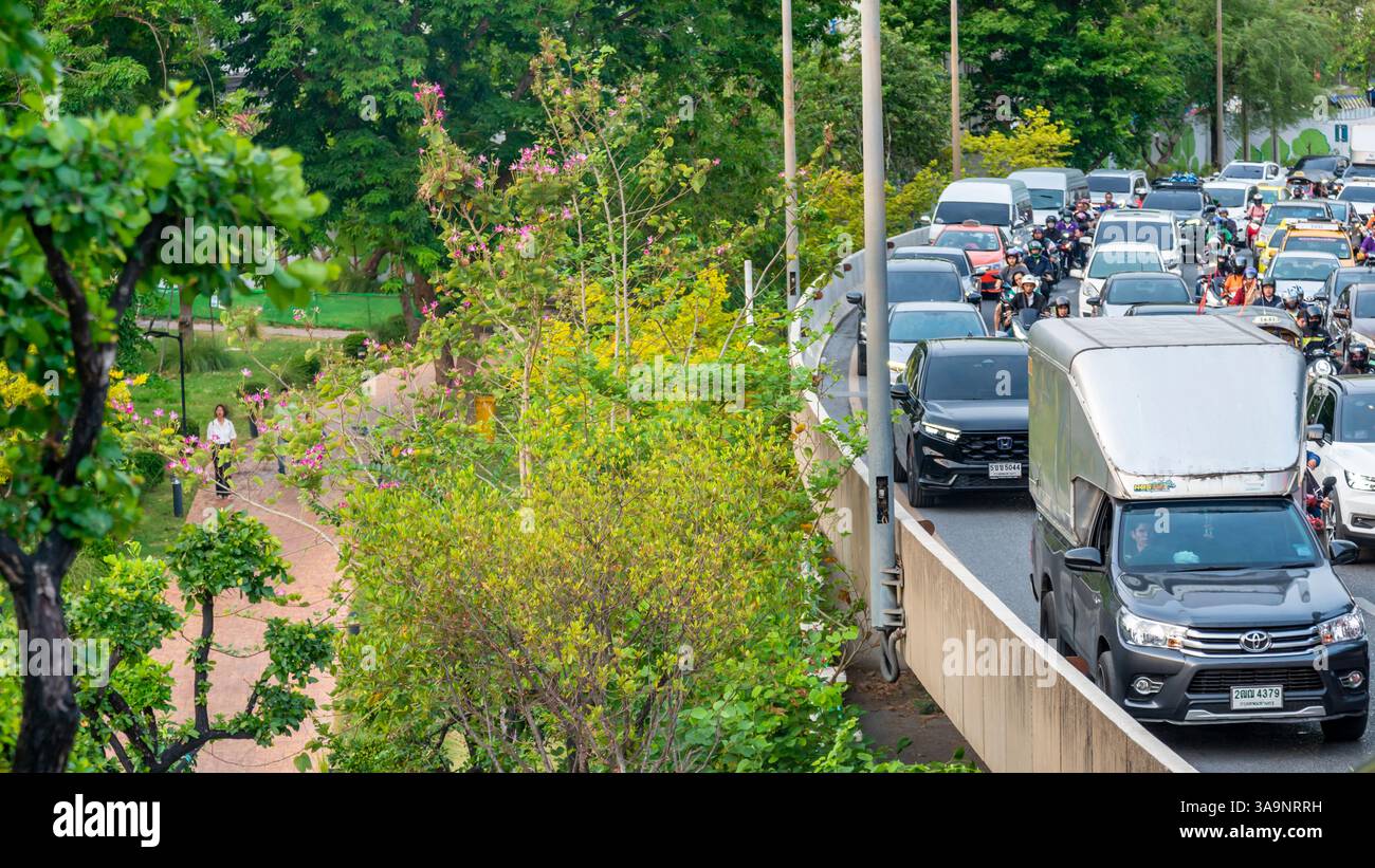 Bangkok,Thailand-May 15 2024:With many plants,verdant trees and flowers ...