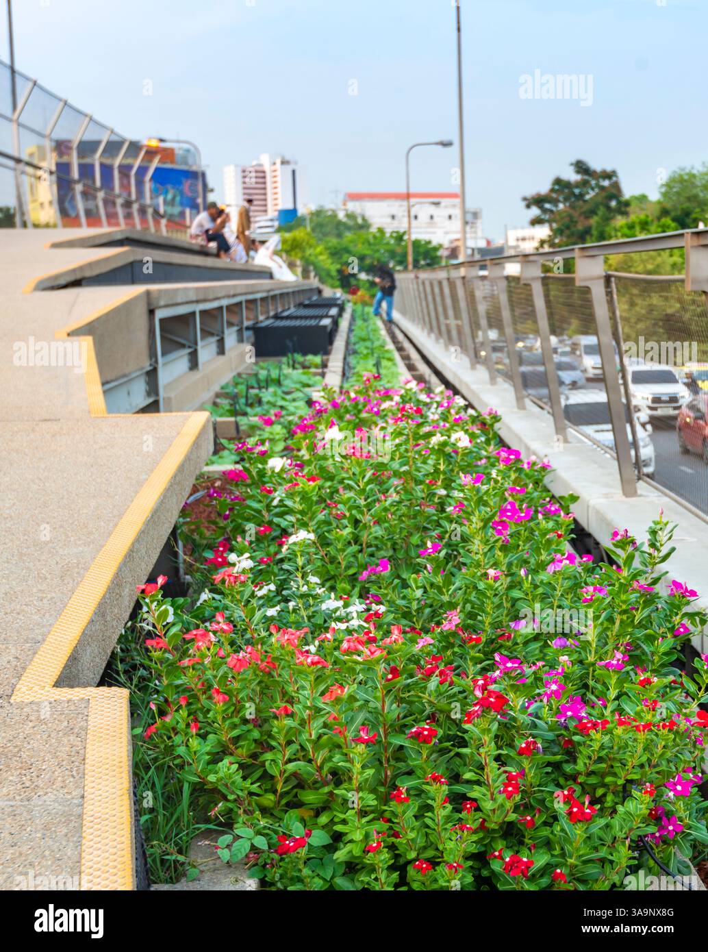 Environmentally friendly,elevated walkway with many plants and flowers ...