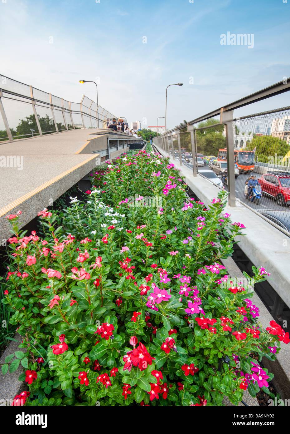 Environmentally friendly,elevated walkway with many plants and flowers ...