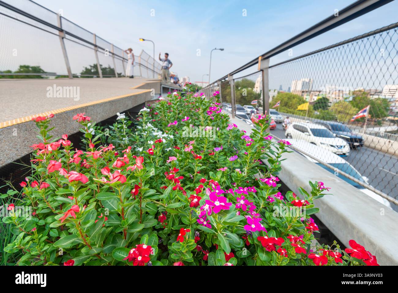 Environmentally friendly,elevated walkway with many plants and flowers ...