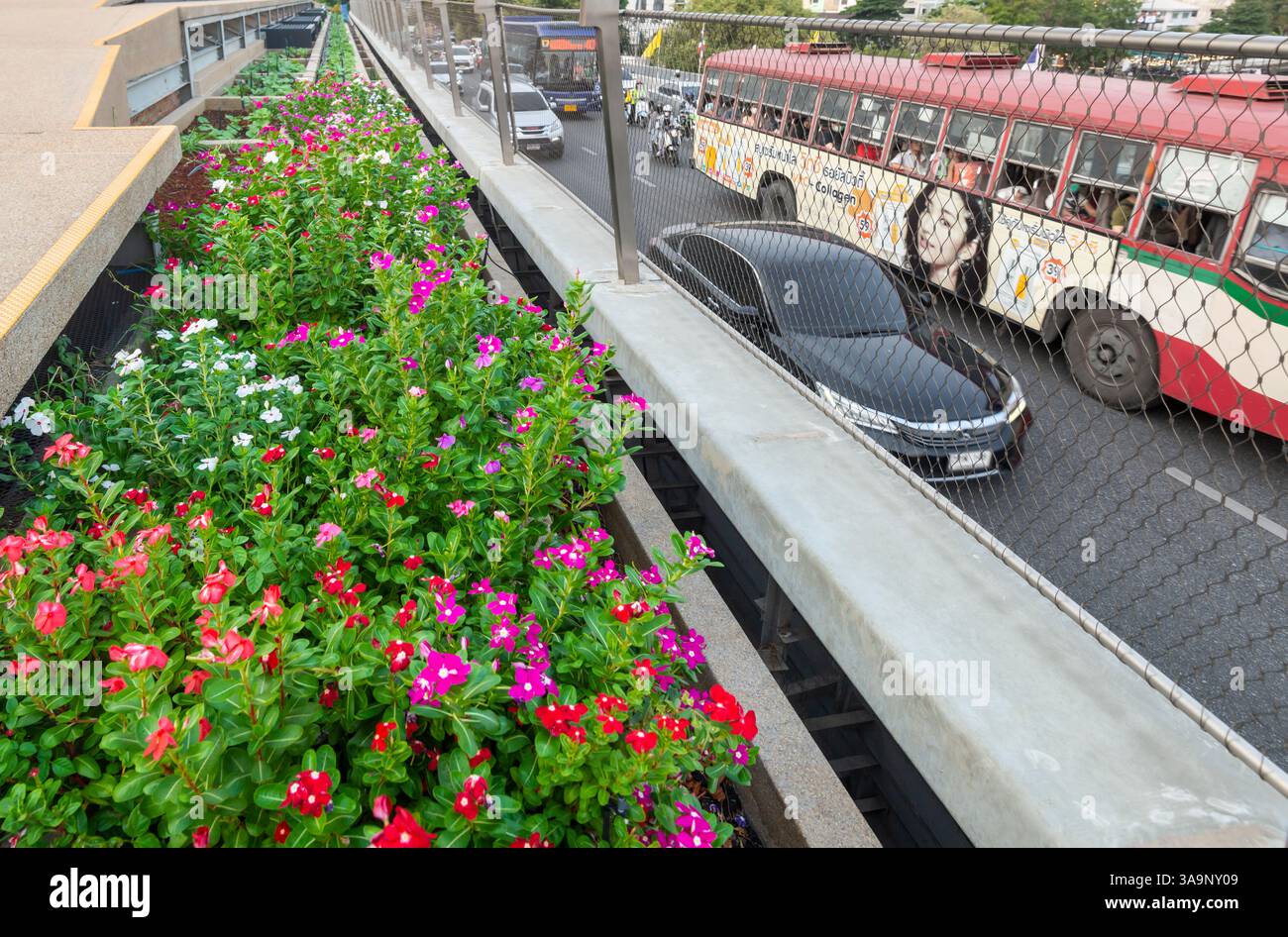 Environmentally friendly,elevated walkway with many plants and flowers ...