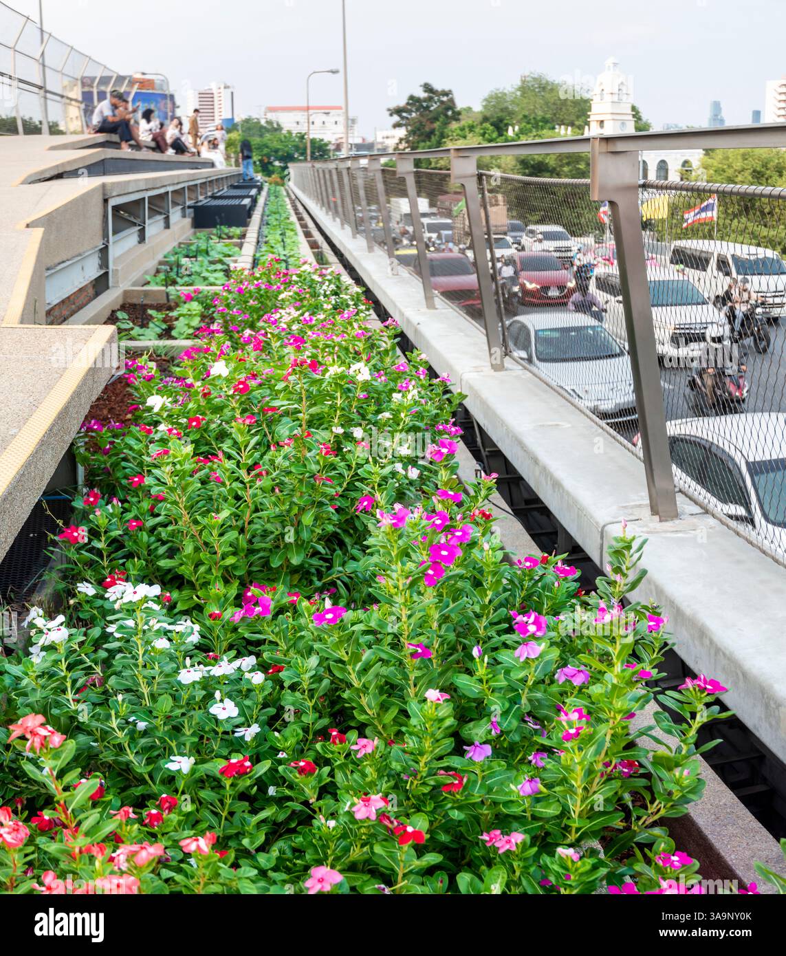 Environmentally friendly,elevated walkway with many plants and flowers ...
