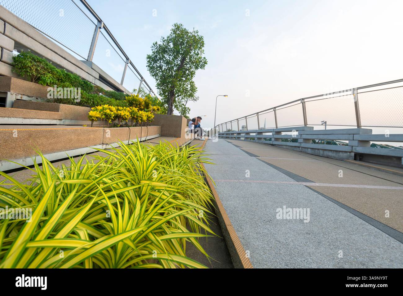 Environmentally friendly,elevated walkway with many plants and flowers ...