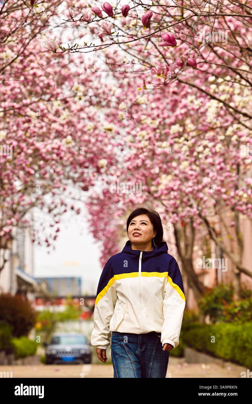 Magnolia flowers are in full bloom in Rizhao City, east China's ...