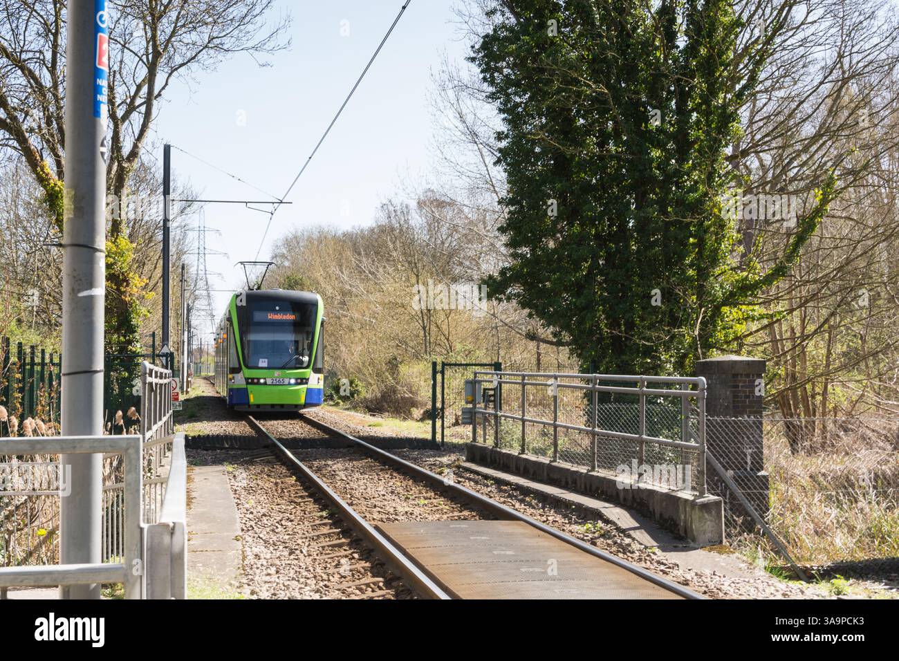 Closeup of Elmers End Tramlink tram line running through Morden Hall ...