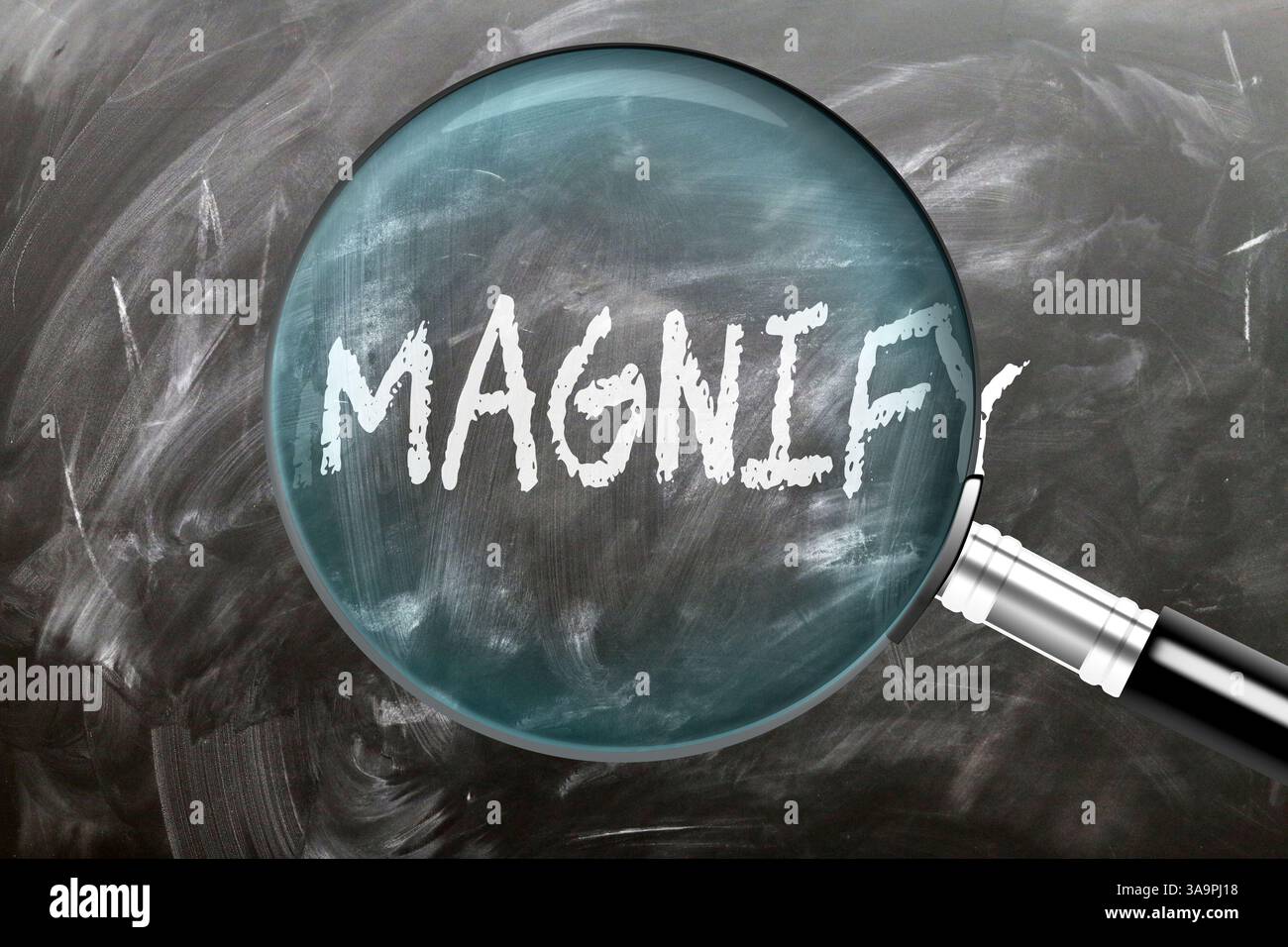 Magnify - learn, study and inspect it. Taking a closer look at magnify ...