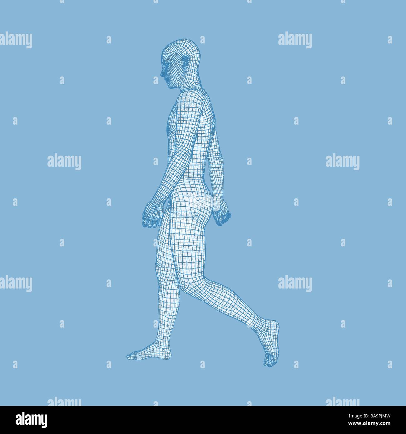 Walking Man. 3D Human Body Model. Geometric Design. Human Body Wire ...