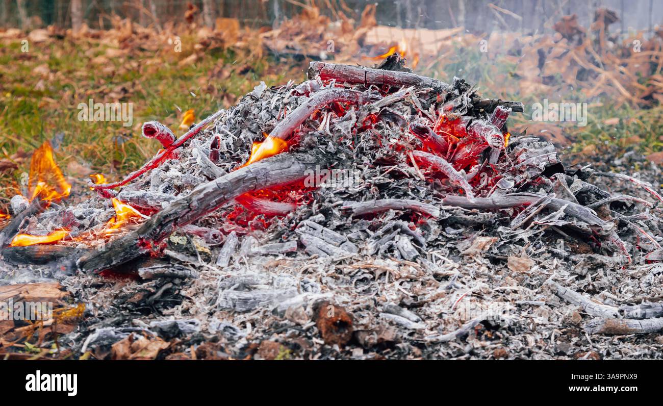 A close-up view of the aftermath of a campfire, showcasing glowing ...
