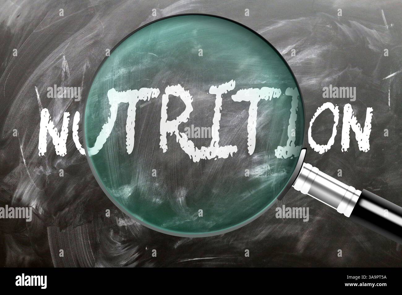 Nutrition - learn, study and inspect it. Taking a closer look at ...