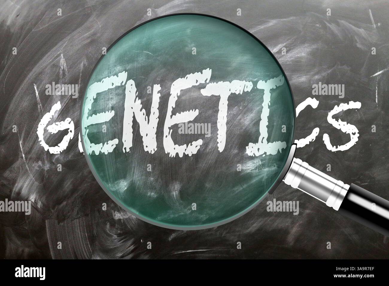 Genetics - learn, study and inspect it. Taking a closer look at ...