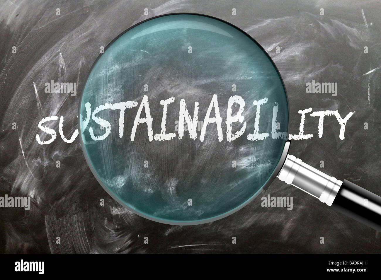 Sustainability - learn, study and inspect it. Taking a closer look at ...