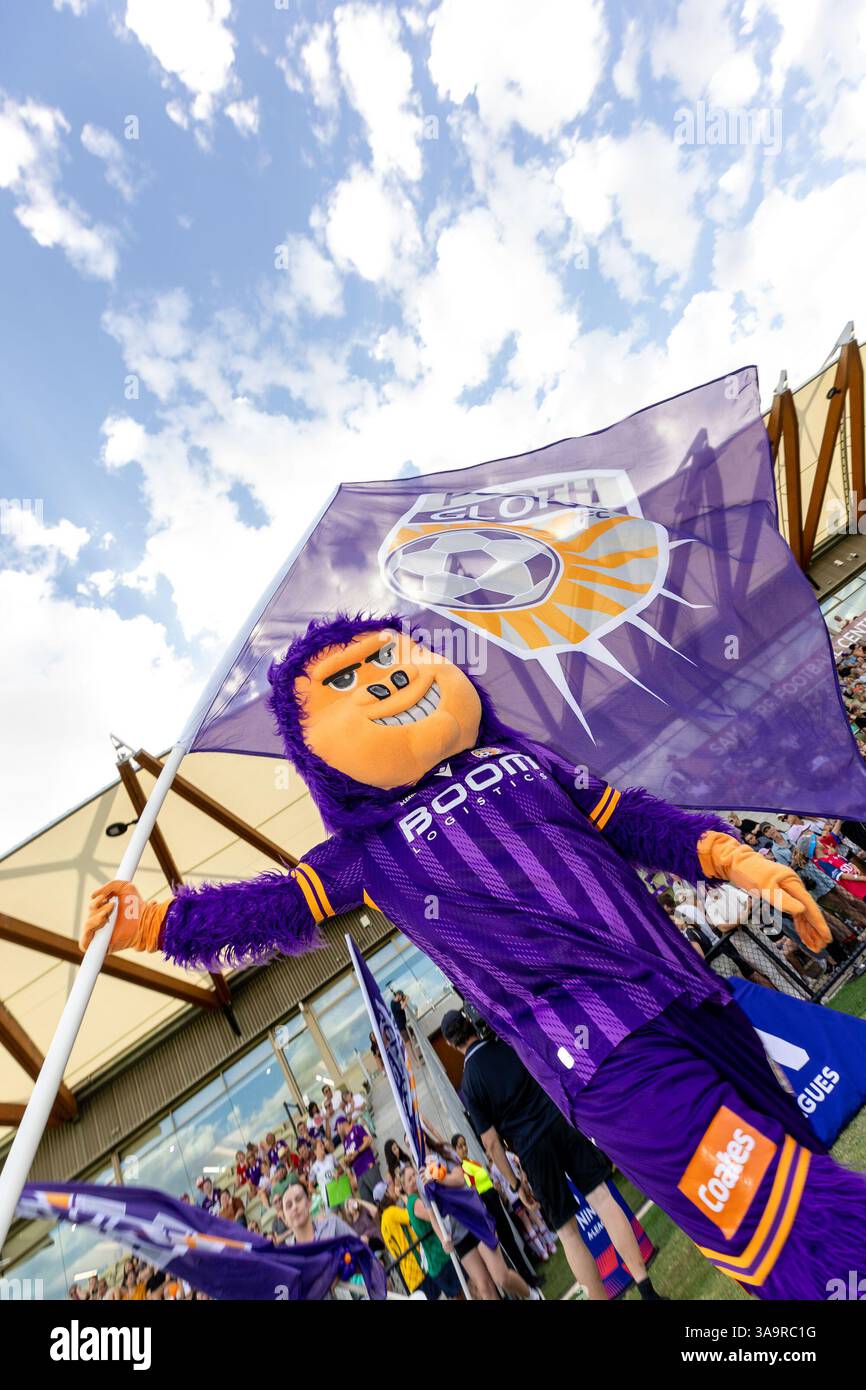 Mascot of Perth Glory FC walks out with a flag prior to the Ninja A ...