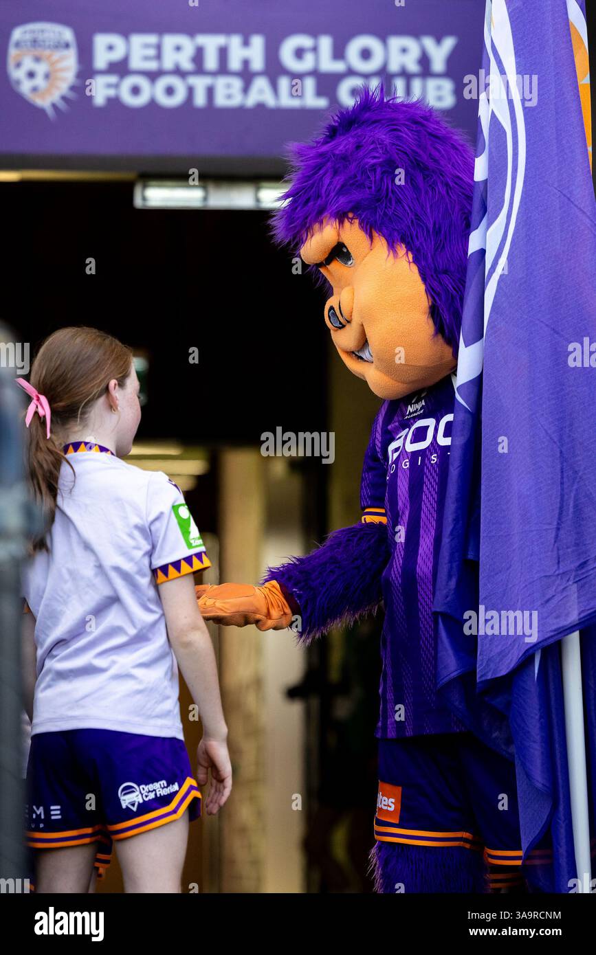 Mascot of Perth Glory FC prior to the Ninja A League Women game between ...