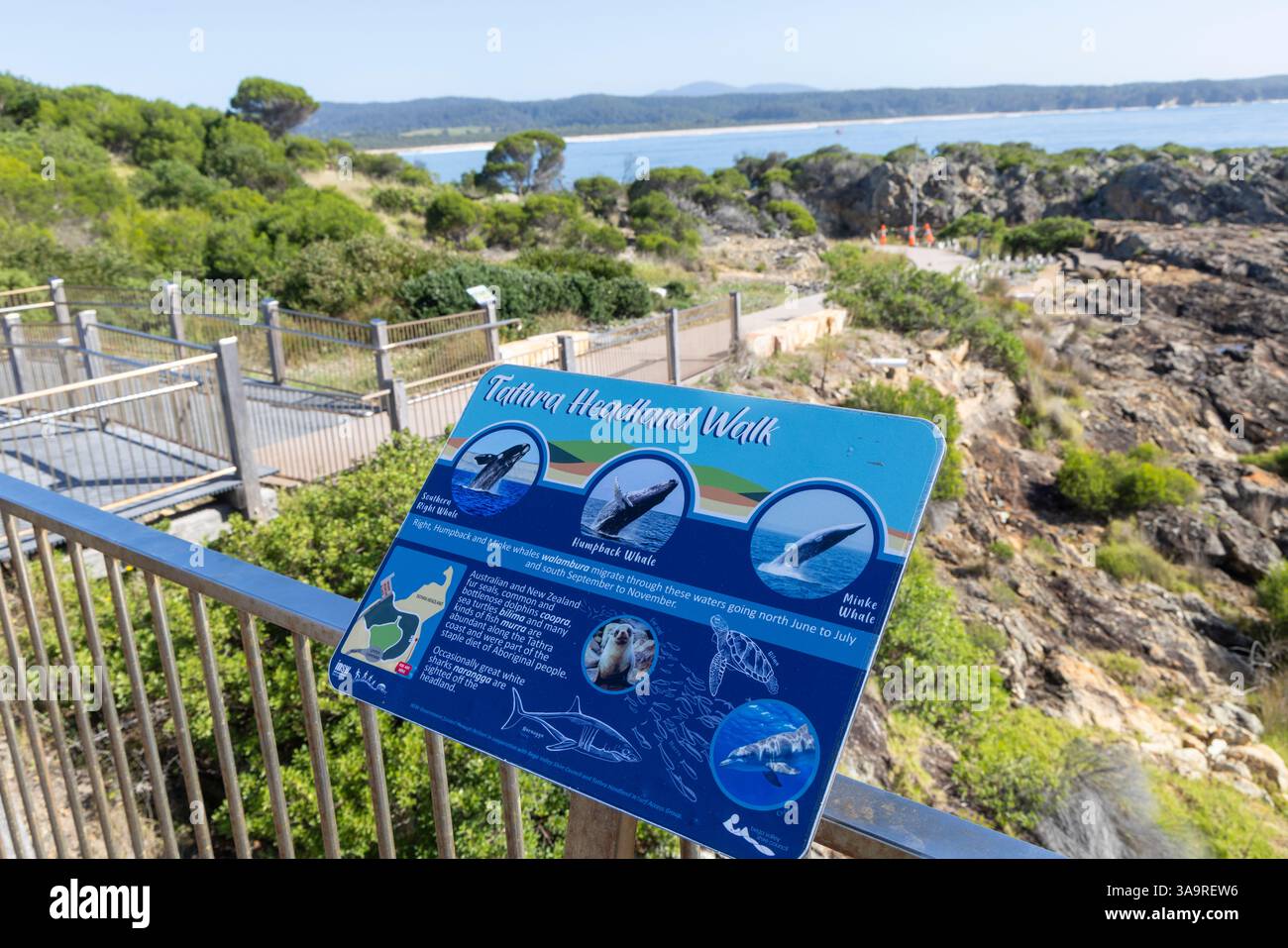 Tathra Beach Headland and scenic walk in this south coast New South ...