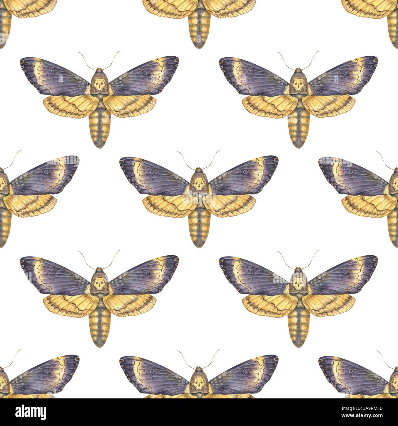 Seamless watercolor pattern featuring death's-head hawkmoth butterflies ...