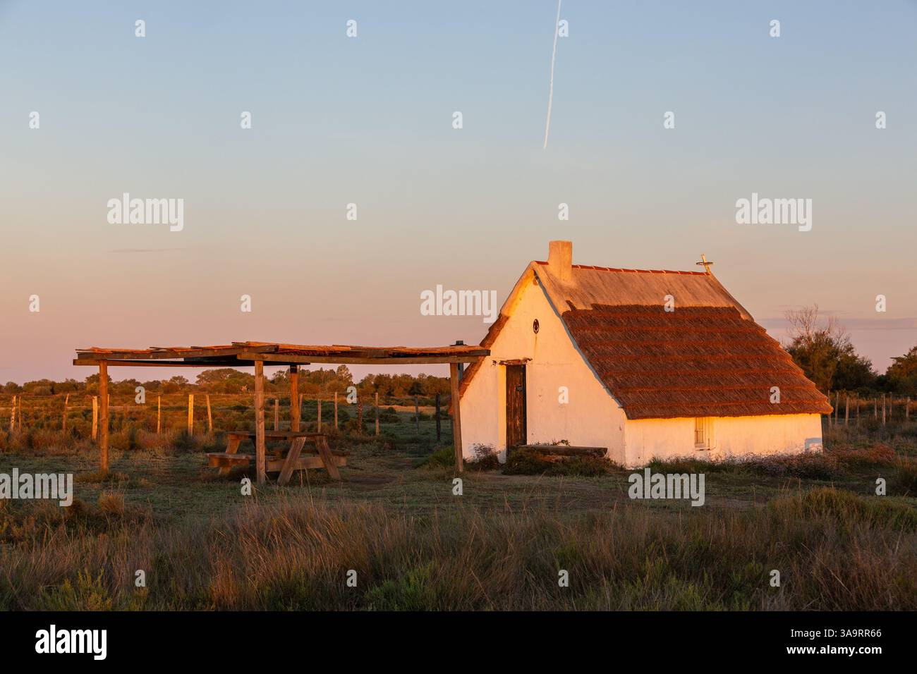Guardian shelter preserved at the Camargue Museum under the light of ...