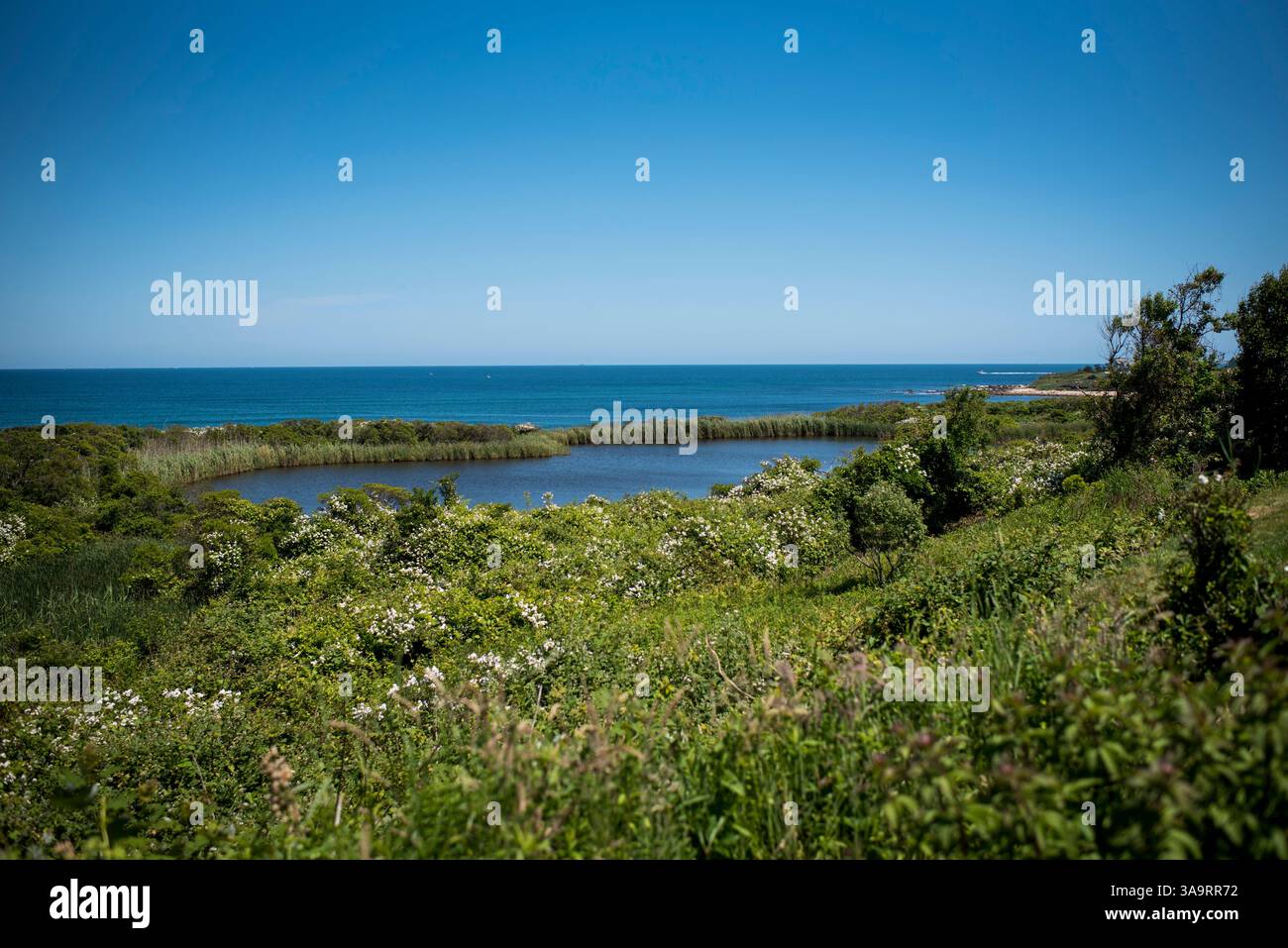 Lush coastal vegetation ocean waves hi-res stock photography and images ...