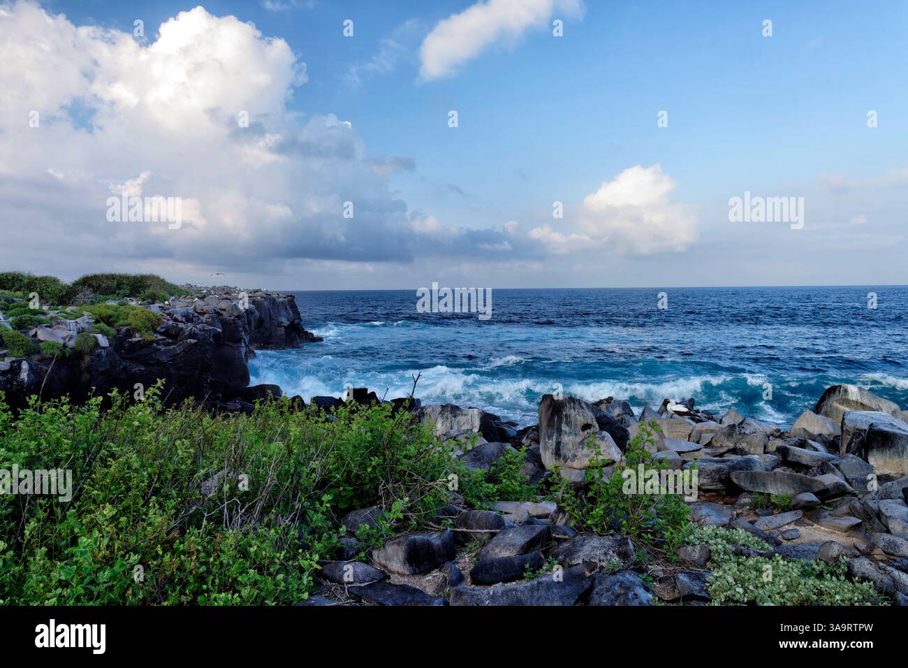Galapagos Islands Landscape, Adventure destination Stock Photo - Alamy