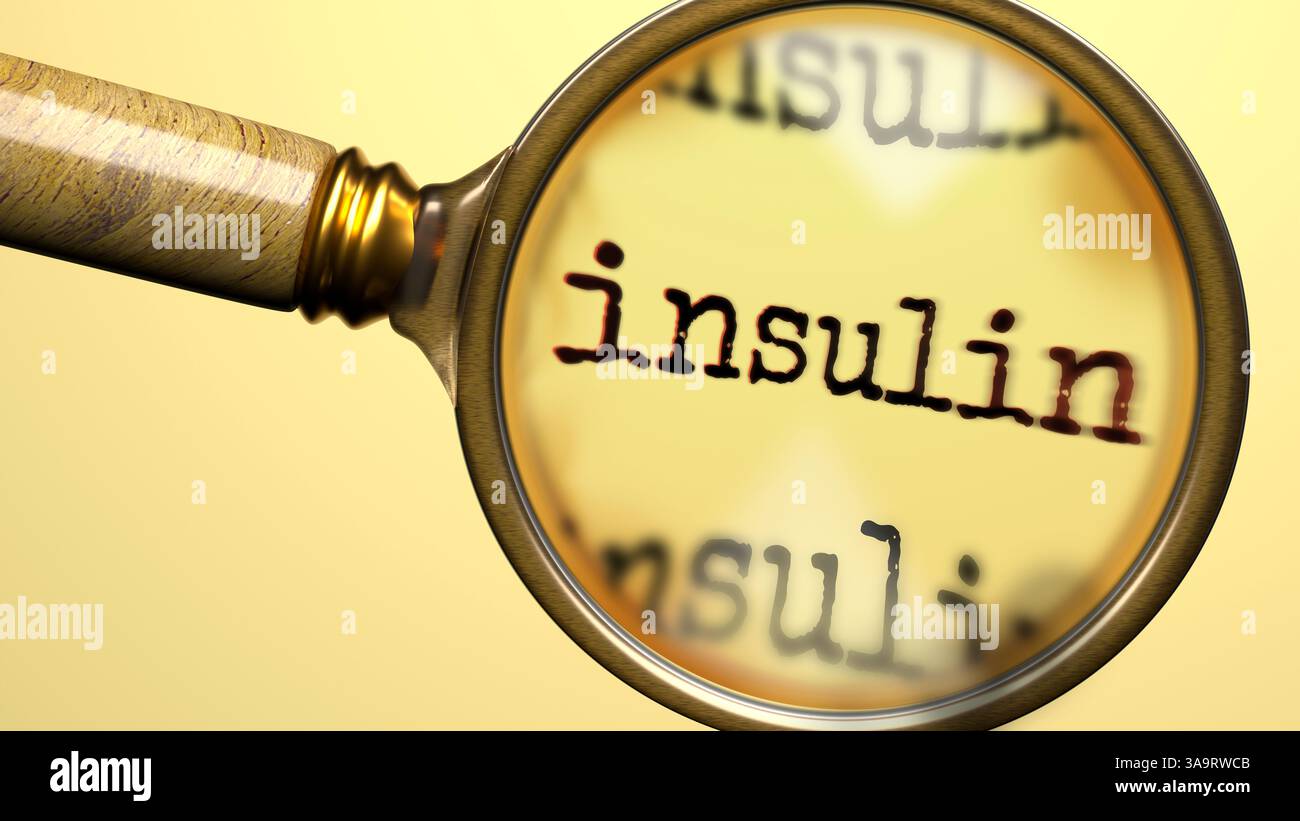 Insulin under magnifying glass. Thorough analysis and inspection of ...