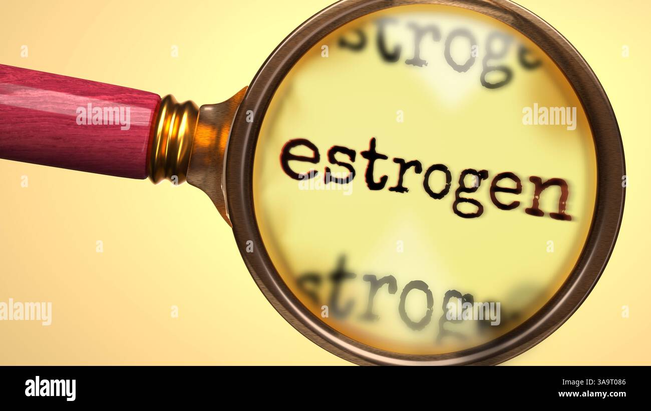 Estrogen under magnifying glass. Thorough analysis and inspection of ...