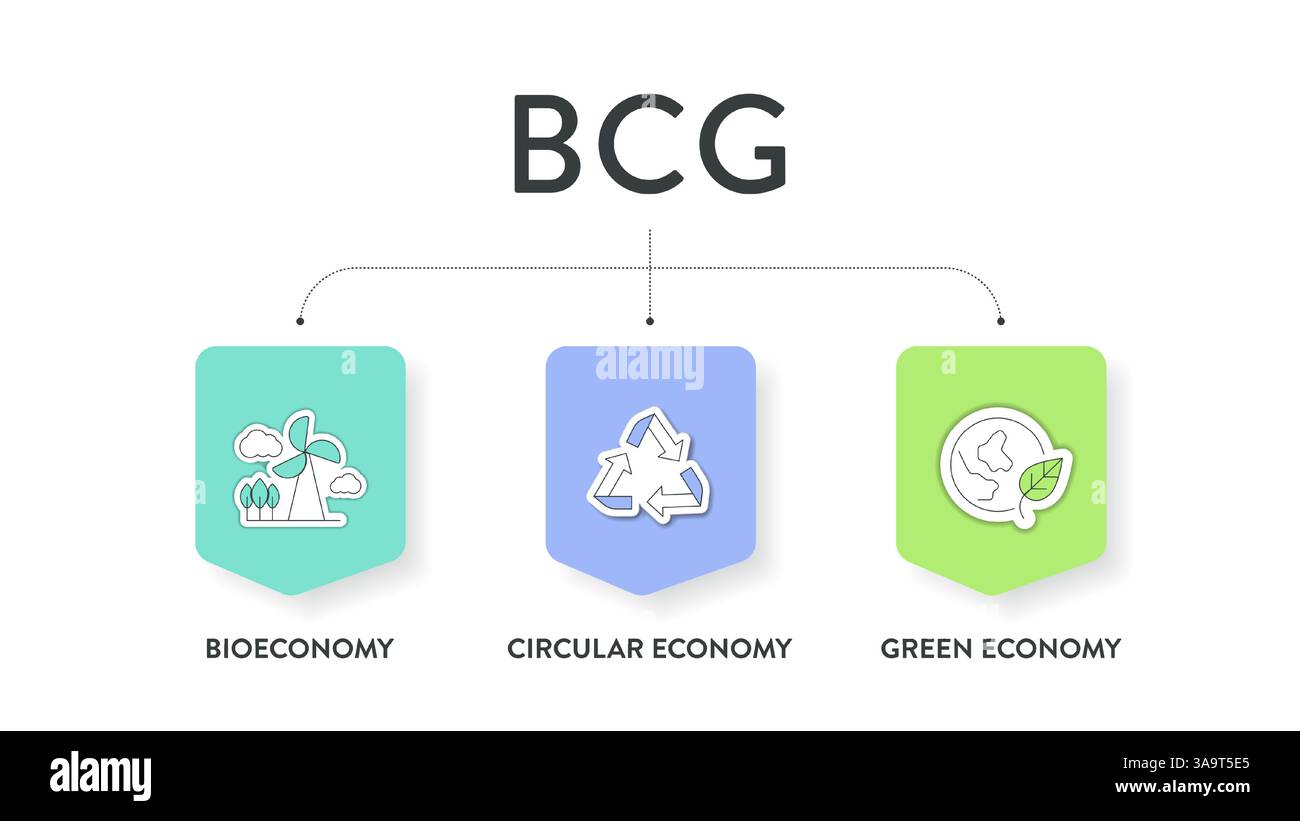 BCG model strategy infographic diagram chart banner template for presentation has bio economy ...
